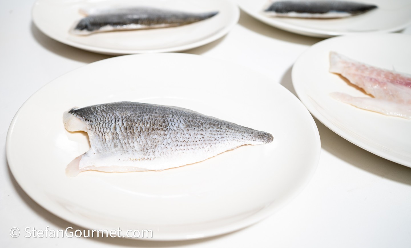 Dorade met pompoenvelouté (Orata con vellutata di zucca) – Sous vide koken